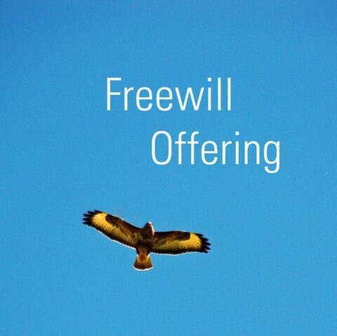 Freewill Offering £20