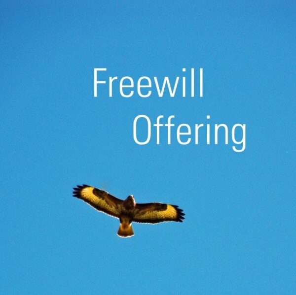 Freewill Offering £20